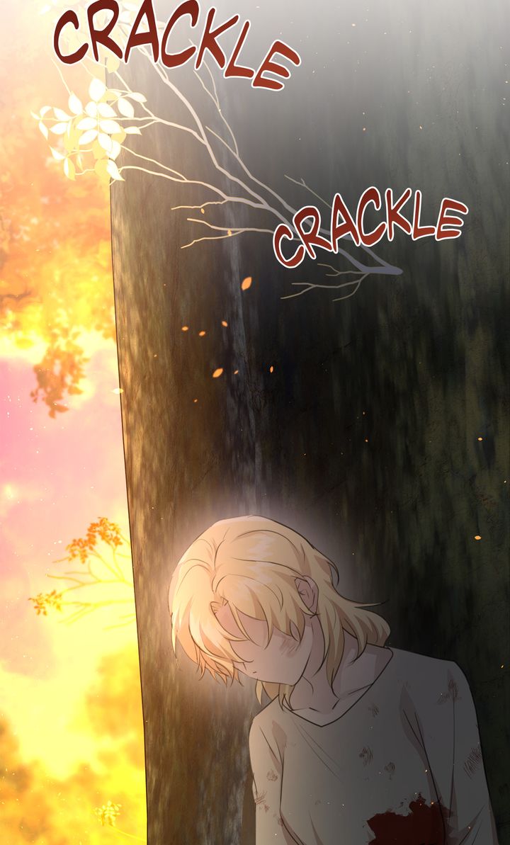 Read S2 Episode 90 - The Golden Forest | Manta